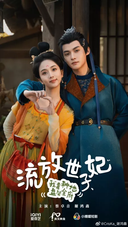 Дорама Liu Fang Shi Zi Fei, Wo Kao Zhong Di Pan Huo Quan Fu / Liu Fang Shi Zi Fei, Wo Kao Zhong ...